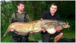 Cardiff Fishing - Guide to Coarse Fishing, Sea Fishing and Angling in ...