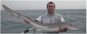 Cardiff Fishing - Guide to Coarse Fishing, Sea Fishing and Angling in ...